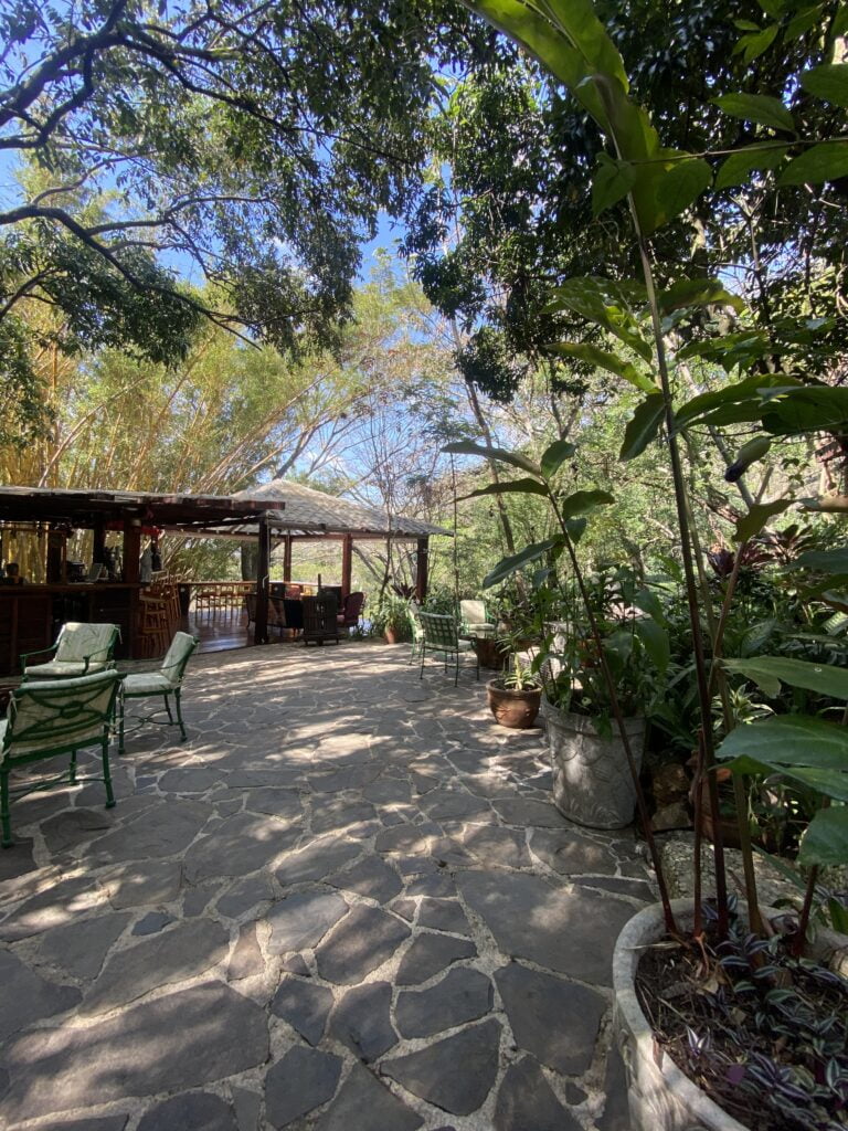Bar El Gato - Hacienda La Chimba