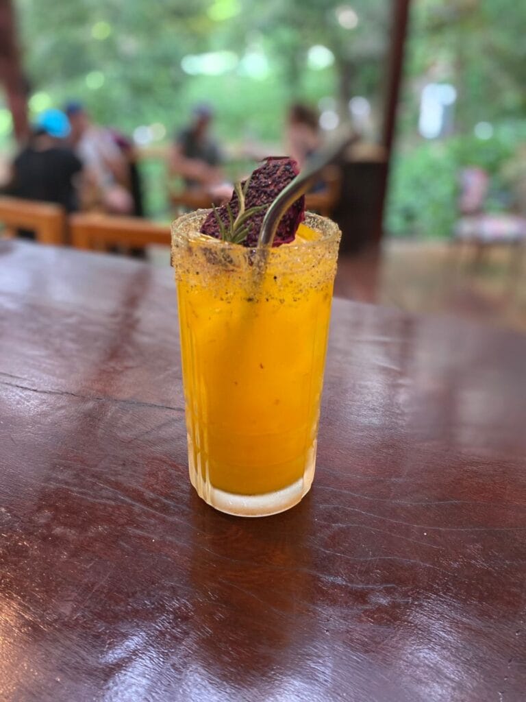 Bar El Gato - Hacienda La Chimba