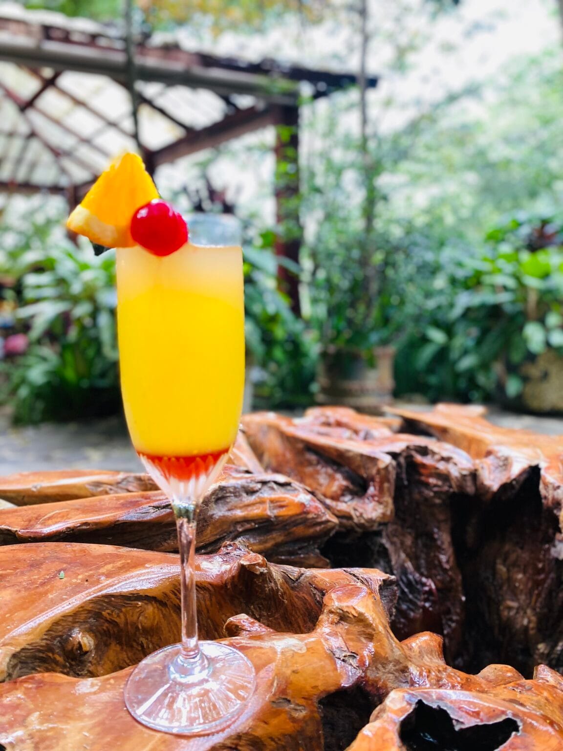 Bar El Gato - Hacienda La Chimba