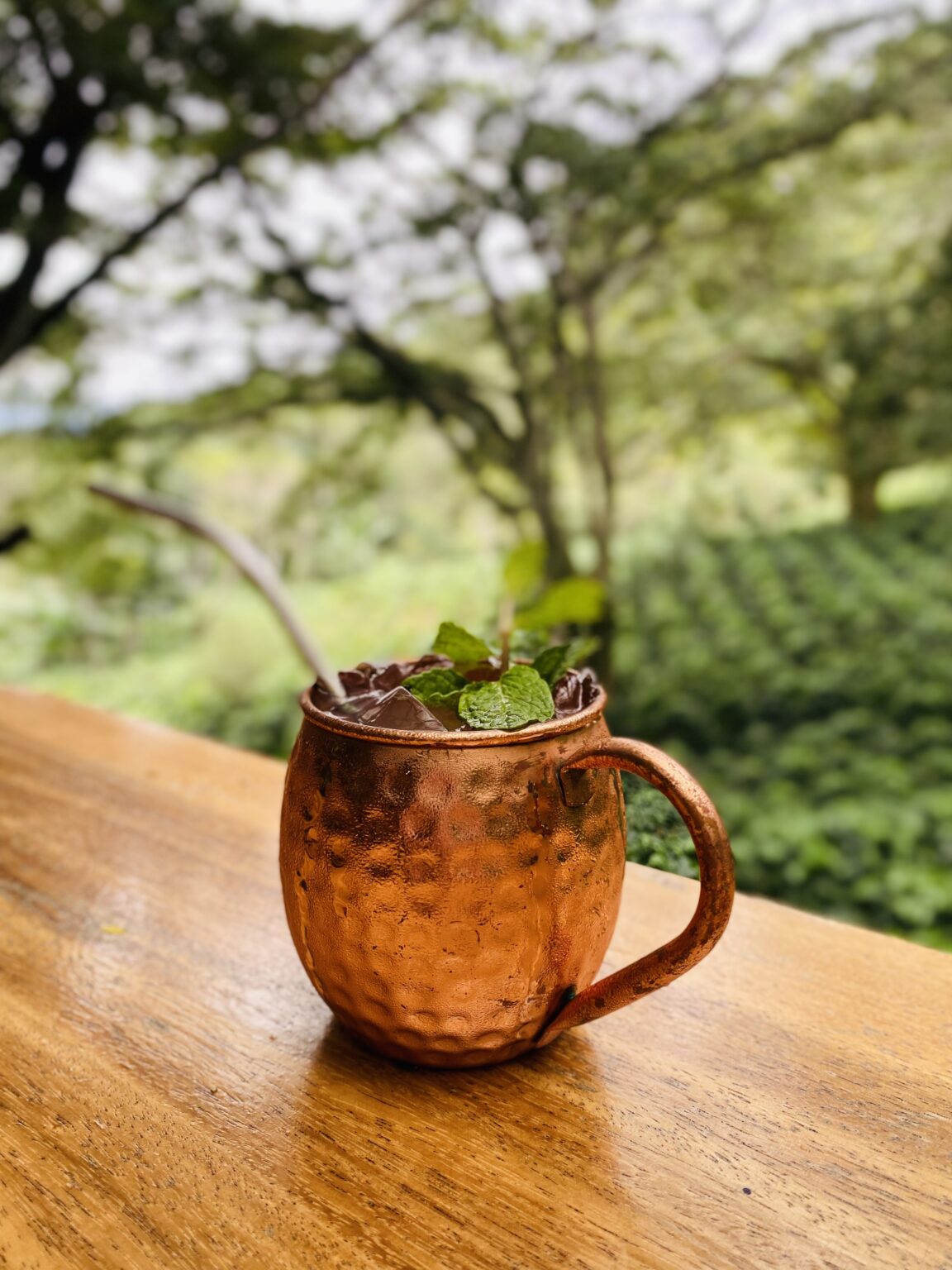 Bar El Gato - Hacienda La Chimba